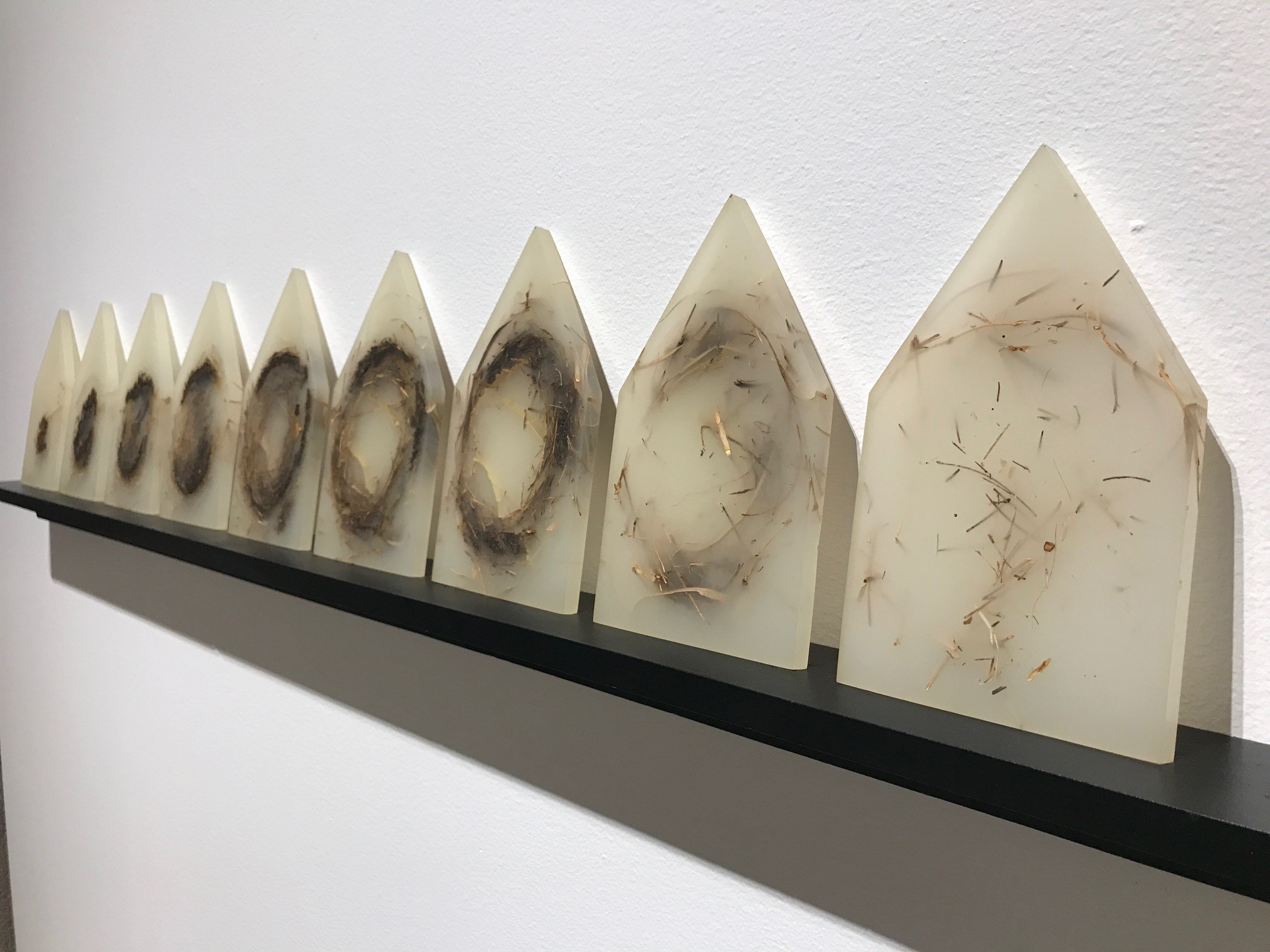 Artist Spotlight: Mayme Kratz – Tucson Museum of Art