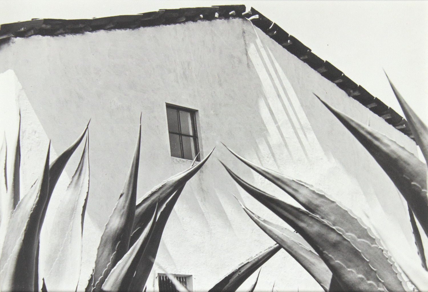Diagonal Camera: Photographic Perspectives from Mid-Century Mexico ...