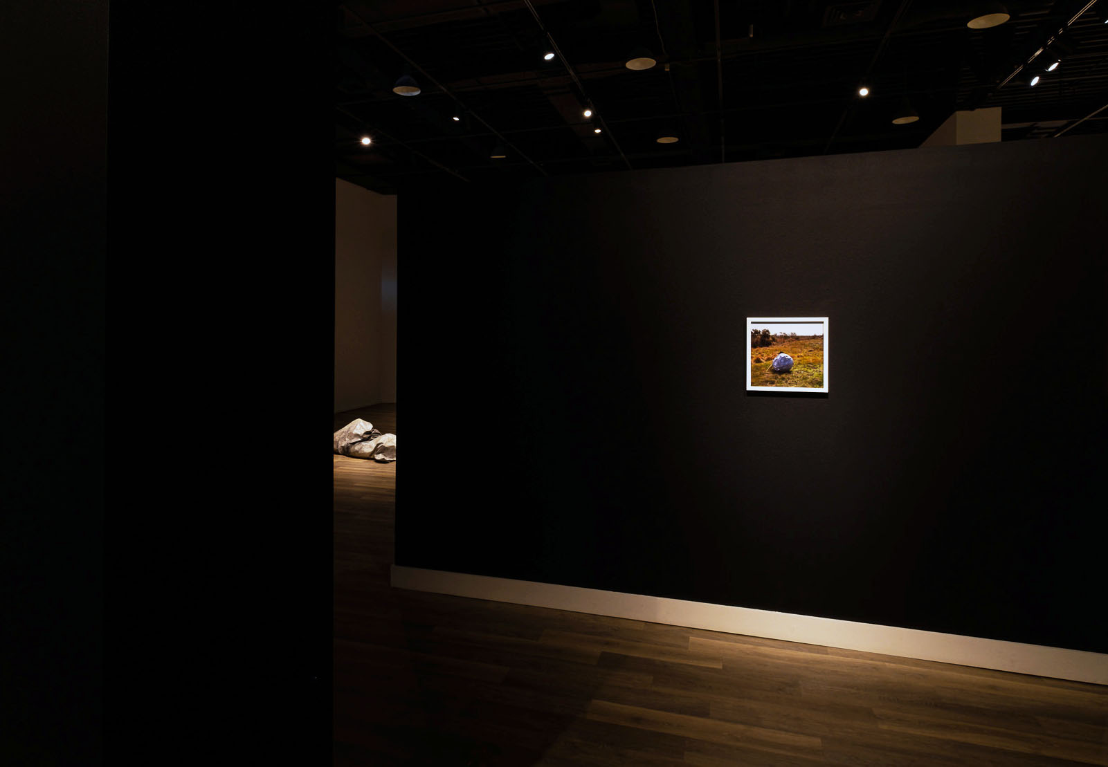 Artist Spotlight: Nazafarin Lotfi – Tucson Museum of Art