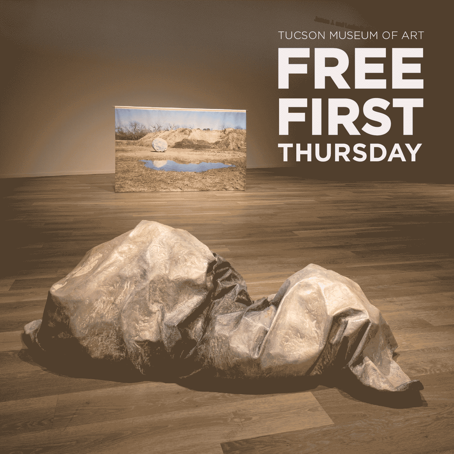 Artist Spotlight: Nazafarin Lotfi – Tucson Museum of Art