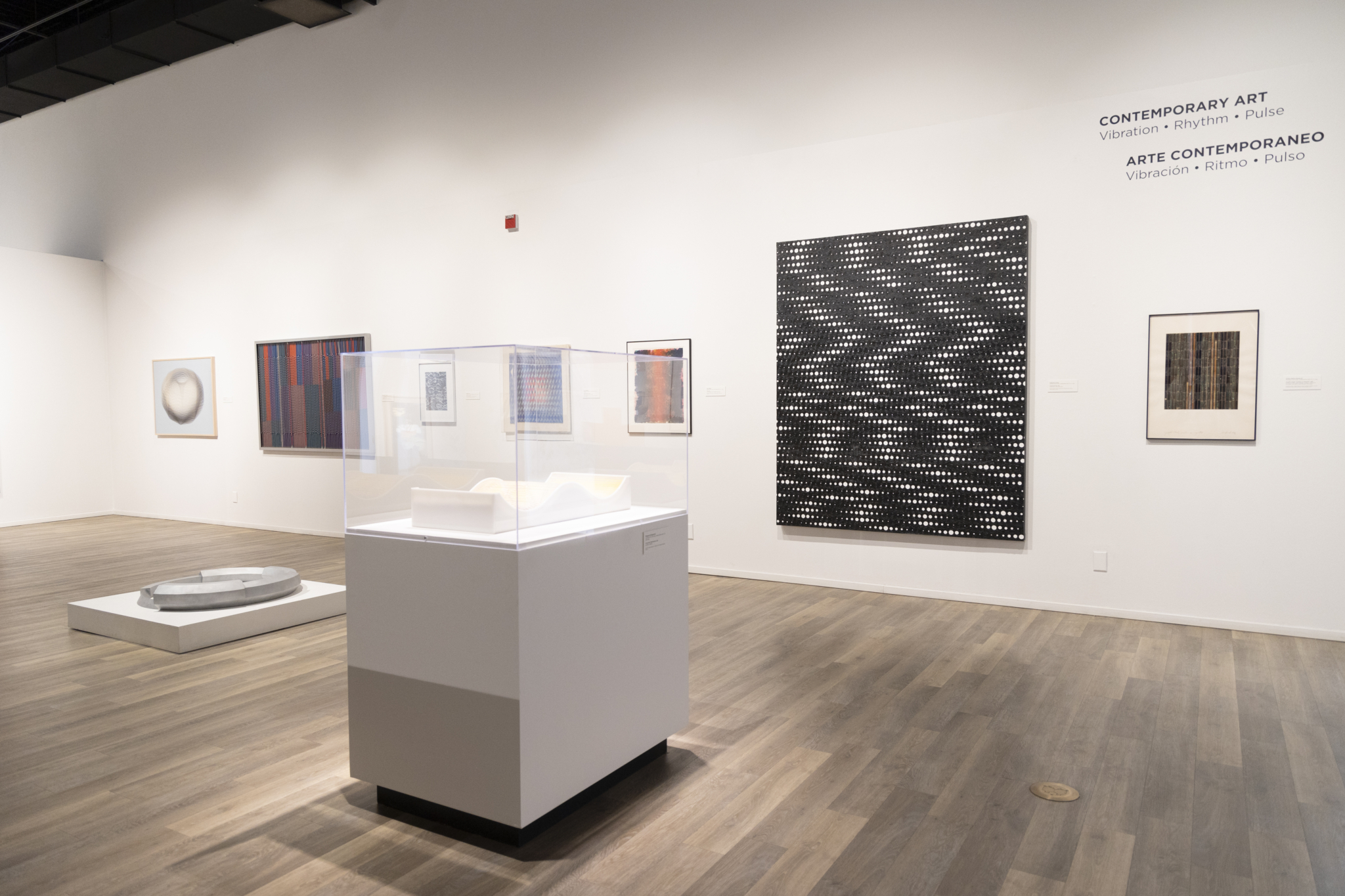 Contemporary Photography – Tucson Museum of Art
